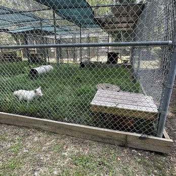 CATTY SHACK RANCH WILDLIFE SANCTUARY - Updated December 2025 - 702 ...