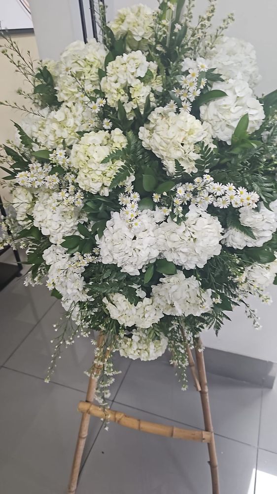 DAFLORES - Updated December 2025 - 12 Photos & 22 Reviews - 5710 NW ...