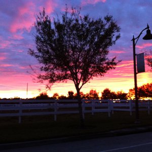 TRIPLE N RANCH SHOOTING RANGE - Updated December 2024 - 40 Photos & 27 ...