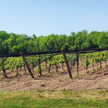 SPRING LAKE WINERY - Updated October 2025 - 219 Photos & 74 Reviews ...