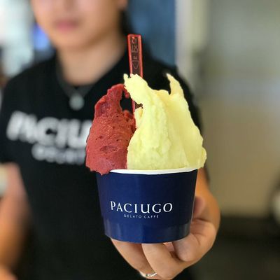 PACIUGO GELATO CAFFÈ - 572 Photos & 388 Reviews - 340 E Basse Rd, San ...