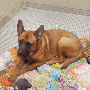 SEATTLE HUMANE - Updated December 2025 - 134 Photos & 222 Reviews ...