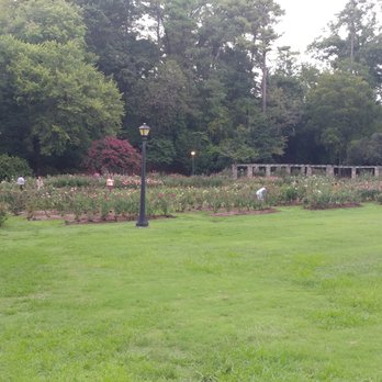 RALEIGH ROSE GARDEN - Updated September 2025 - 185 Photos & 23 Reviews ...