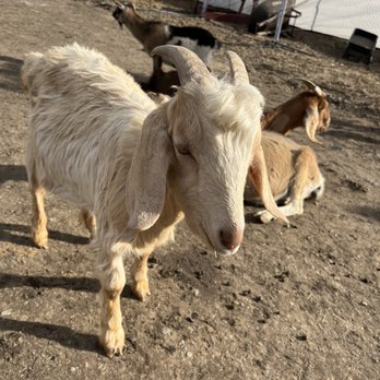 RANCHO LOS FONSECA - Updated January 2026 - 154 Photos & 50 Reviews ...