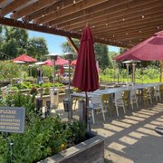 MUSTARDS GRILL - 2814 Photos & 2327 Reviews - American (New) - 7399 St ...