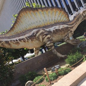 SENATE CAFETERIA - Updated August 2025 - 17 Photos & 36 Reviews ...