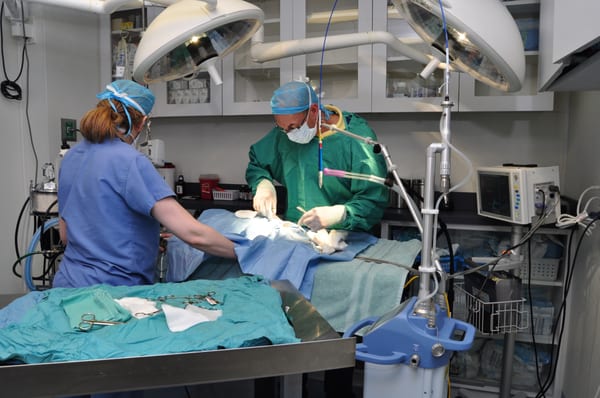 ALL CREATURES VETERINARY HOSPITAL - Updated December 2025 - 17 Photos ...