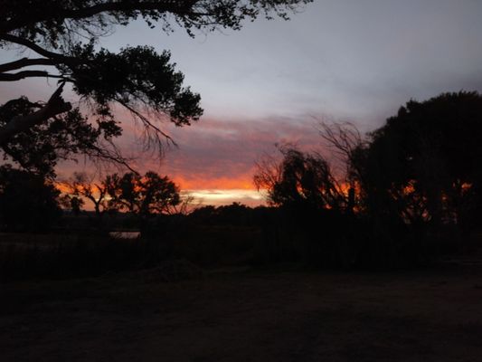 MOJAVE NARROWS REGIONAL PARK - Updated October 2025 - 130 Photos & 76 ...