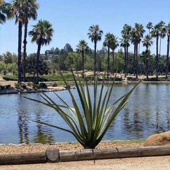 ROWENA RESERVOIR - Updated October 2025 - 50 Photos - 3100 Ettrick St ...