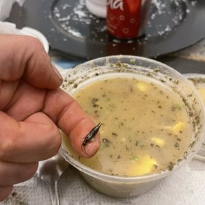 BACOWKA - 349 Photos & 314 Reviews - 1120 S Roselle Rd, Schaumburg ...