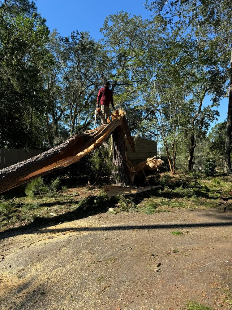 NEIGHBORLY TREE & LANDSCAPING - Updated October 2024 - Atlanta, Georgia ...