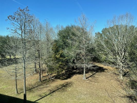 EBRPL MAIN LIBRARY - BATON ROUGE - Updated February 2025 - 92 Photos ...