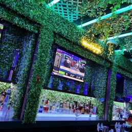 HIGHKEY RAINFOREST ROOFTOP - Updated October 2025 - 377 Photos & 208 ...