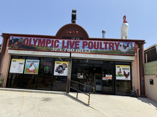 OLYMPIC LIVE POULTRY - Updated October 2025 - 16 Photos - 3659 E ...