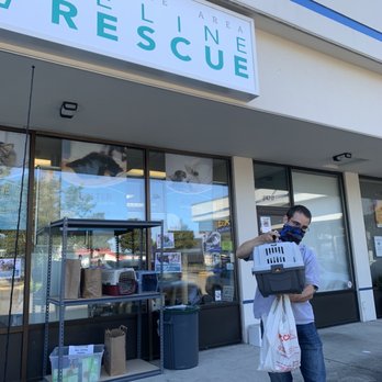 SEATTLE AREA FELINE RESCUE - Updated August 2025 - 61 Photos & 57 ...