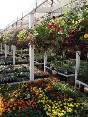 BAGGOTT FAMILY FARMS - Updated December 2025 - 236 S Main St, East ...