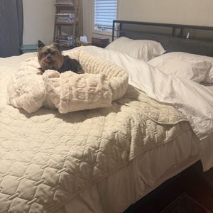 SOHN LINEN SERVICE - Updated December 2025 - 2401 Wood St, Lansing ...