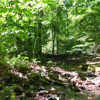 BOYD BIG TREE PRESERVE CONSERVATION AREA - Updated May 2026 - 76 Photos ...