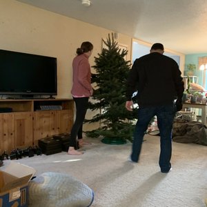 HEMSTROM VALLEY TREE FARM CHRISTMAS TREES - TEMP. CLOSED - Updated ...