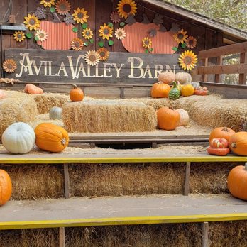 Are Dogs Allowed At Avila Valley Barn