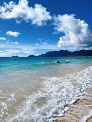 BELLOWS AFS CABINS - Updated August 2025 - 186 Photos & 53 Reviews ...