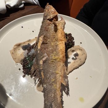 CIRCO - Updated December 2025 - 123 Photos & 73 Reviews - 19102 Q St ...