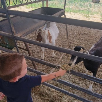 MOON FARM - Updated July 2025 - 31 Photos - 1360 18 1/2 Rd, Fruita ...