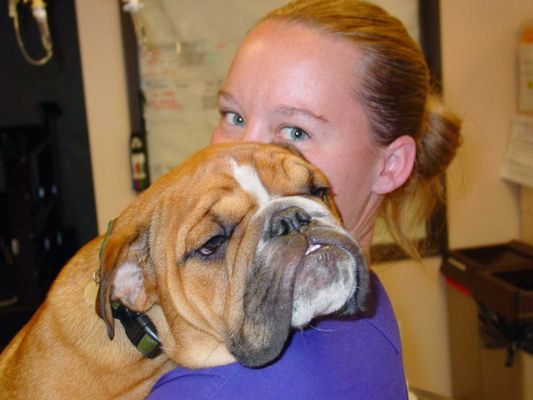 BLUEPEARL PET HOSPITAL - Updated January 2026 - 60 Photos & 184 Real ...