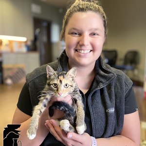 AVONDALE HASLET ANIMAL CLINIC - Updated June 2025 - 28 Reviews - 1321 ...