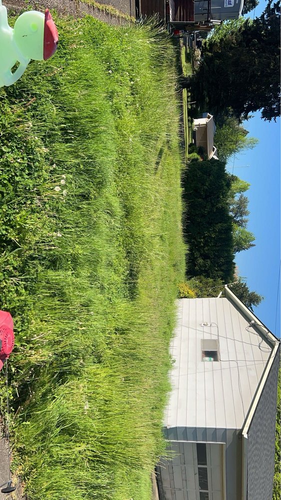 LAWN CARE - Updated August 2024 - 300 S Everest Rd, Newberg, Oregon ...