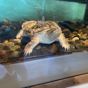 SCIENCE CENTER OF IOWA - Updated December 2025 - 216 Photos & 68 ...