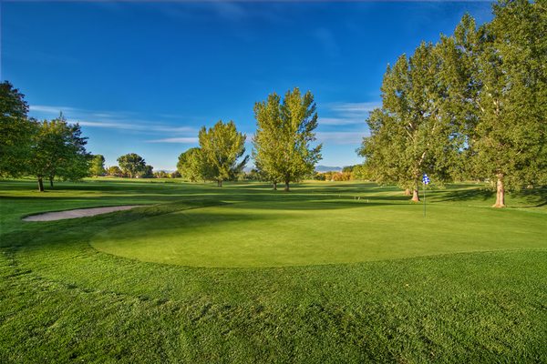 FOREST DALE GOLF COURSE - Updated August 2025 - 17 Photos & 17 Reviews ...