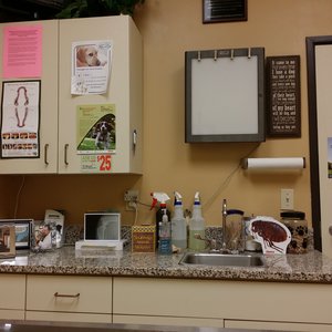 DENTON VETERINARY CENTER - Updated February 2025 - 48 Photos & 53 ...