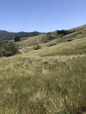 JOHNSON RANCH TRAIL - Updated September 2025 - 82 Photos & 25 Reviews ...