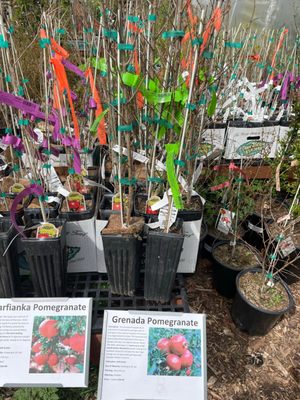 RESTORING EDEN - Updated December 2025 - 42 Photos & 36 Reviews - 3503 ...