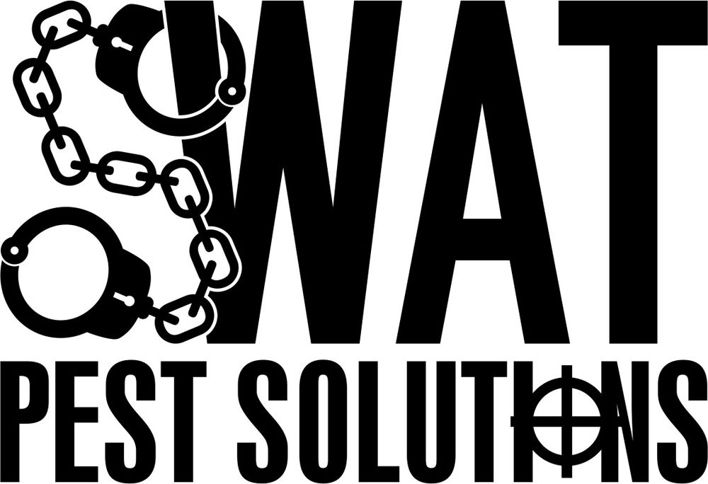 SWAT PEST SOLUTIONS - Mitchell, Illinois - Pest Control - Phone Number ...