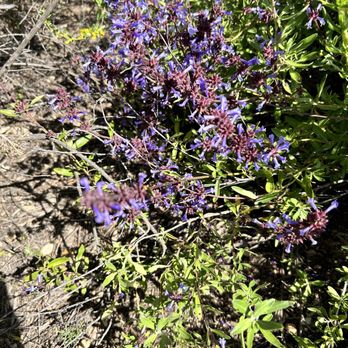 BLUE SKY ECOLOGICAL RESERVE - Updated December 2025 - 528 Photos & 64 ...