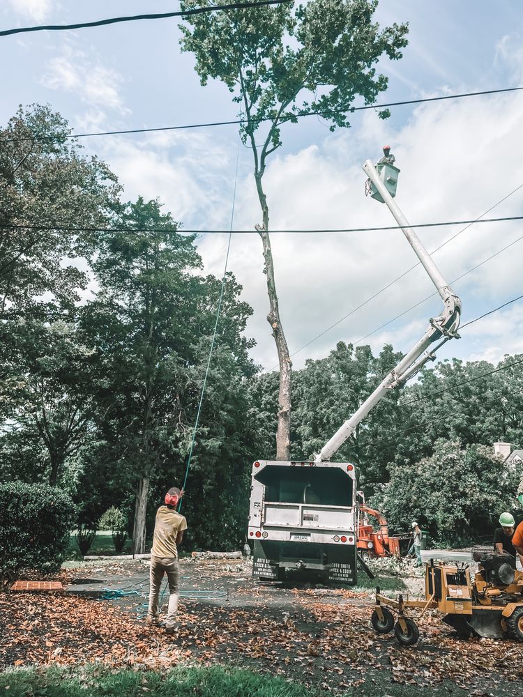 JOHNSON’S TREE AND OUTDOOR SERVICES - Updated July 2025 - Request a ...