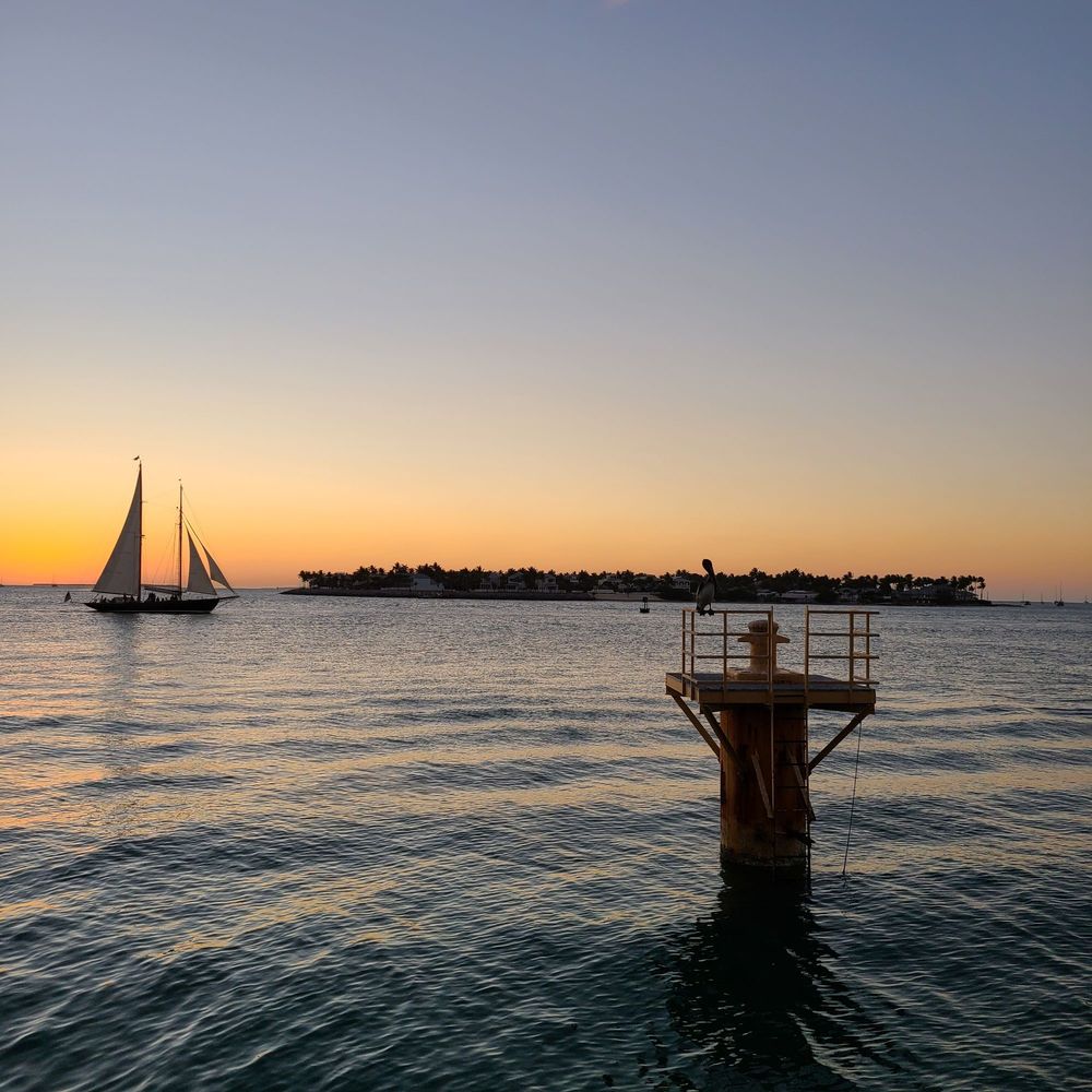 SUNSET CELEBRATION AT MALLORY SQUARE - 759 Photos & 282 Reviews ...