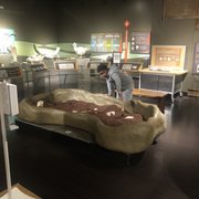 BUFFALO MUSEUM OF SCIENCE - 282 Photos & 68 Reviews - 1020 Humboldt ...