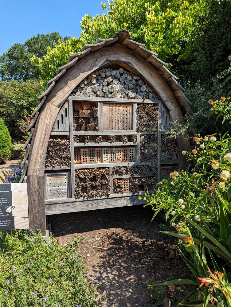 JC RAULSTON ARBORETUM - Updated August 2025 - 639 Photos & 112 Reviews ...