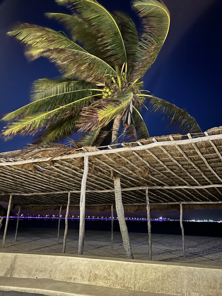 MALECÓN DE PROGRESO - Updated July 2024 - 53 Photos & 17 Reviews - Av ...