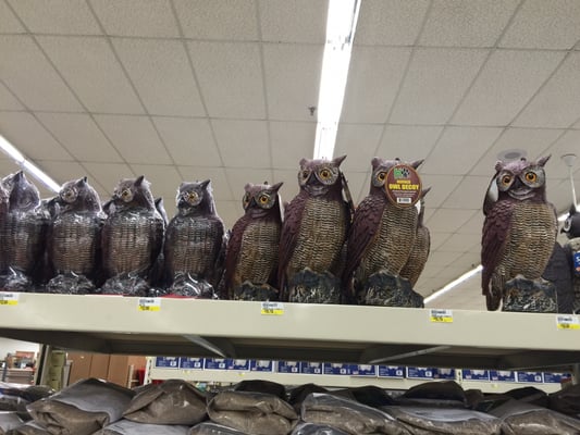 BIG R FARM AND HOME - Updated September 2025 - 10 Photos & 14 Reviews ...