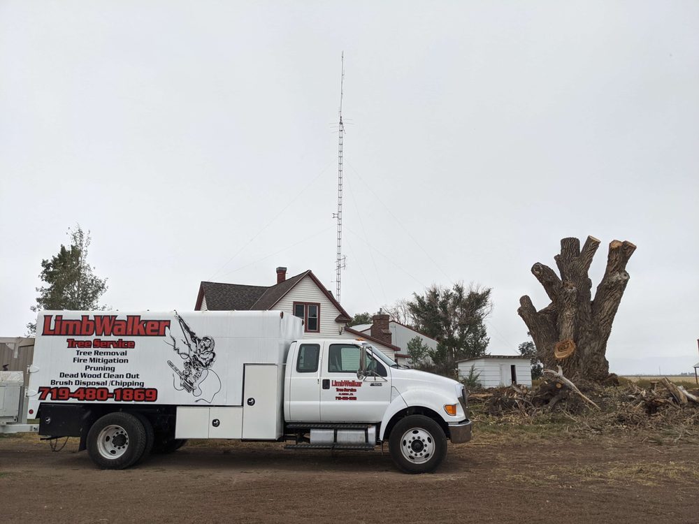 LIMBWALKER TREE SERVICE - Updated January 2026 - 22 Photos - Alamosa ...