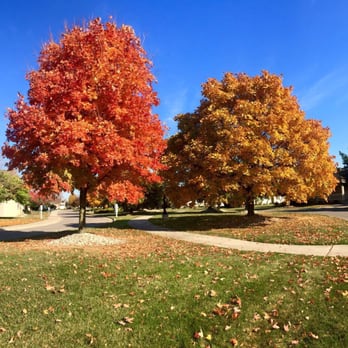 WALDENBURG PARK - Updated October 2025 - 96 Photos - 19225 21 Mile Rd ...