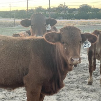 REAGANS RIDGE RV - Updated December 2025 - 28 Photos - 26690 Ronald ...