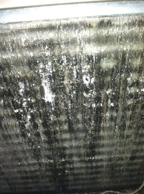 ONE 51 PLACE - 15100 NW 150th Ct, Alachua, Florida - Apartments - Phone ...