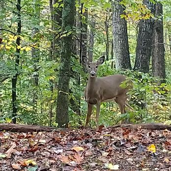 SPRING MILL INN AT SPRING MILL STATE PARK - Updated July 2025 - 194 ...