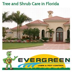 EVERGREEN LAWN & PEST CONTROL - 29 Photos & 14 Reviews - Pest Control ...