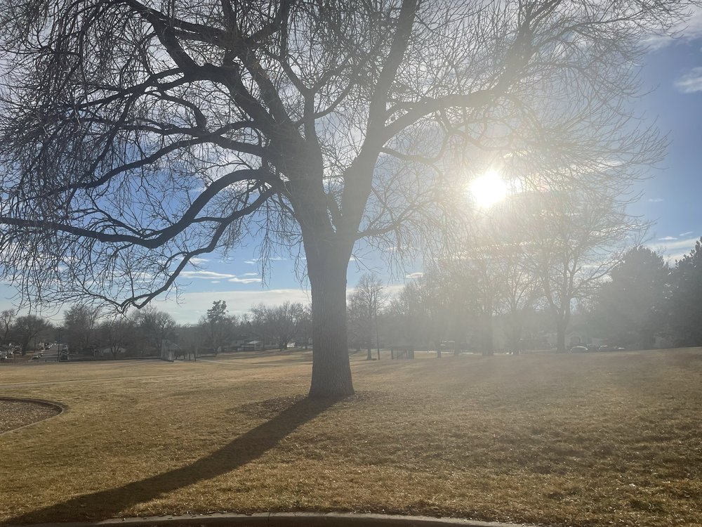 51ST AND ZUNI PARK - Updated May 2026 - 30 Photos - 5041 Wyandot St ...